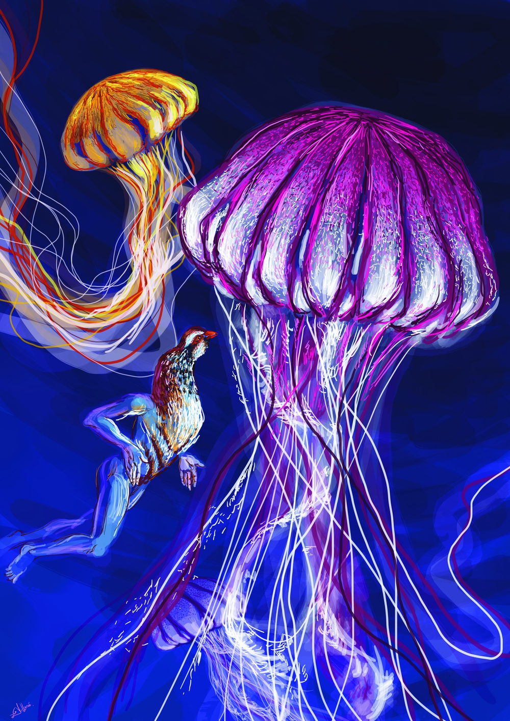 Codorniz Medusa Rare Digital Artwork MakersPlace